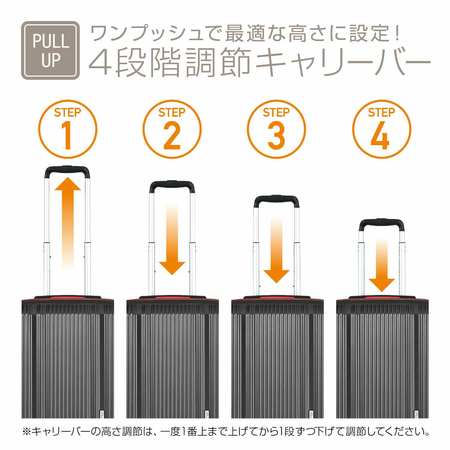 Alpha Sky | プラスワン・ヴォヤージュ本店